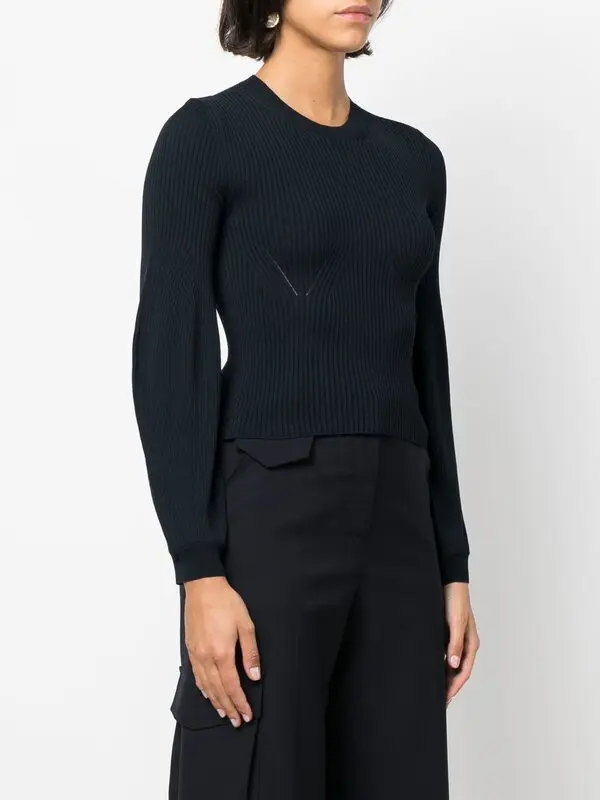 Stella McCartney Ribbed-knit Crewneck Jumper