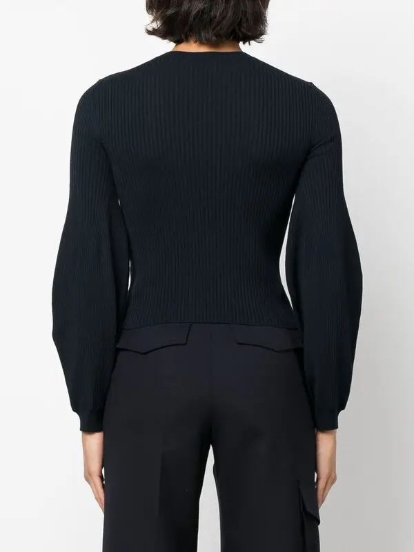 Stella McCartney Ribbed-knit Crewneck Jumper