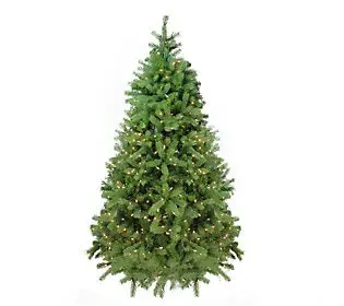 NORTHLIGHT Pre-lit Noble Fir Full Artificial Ch Ristmas Tree - One-color