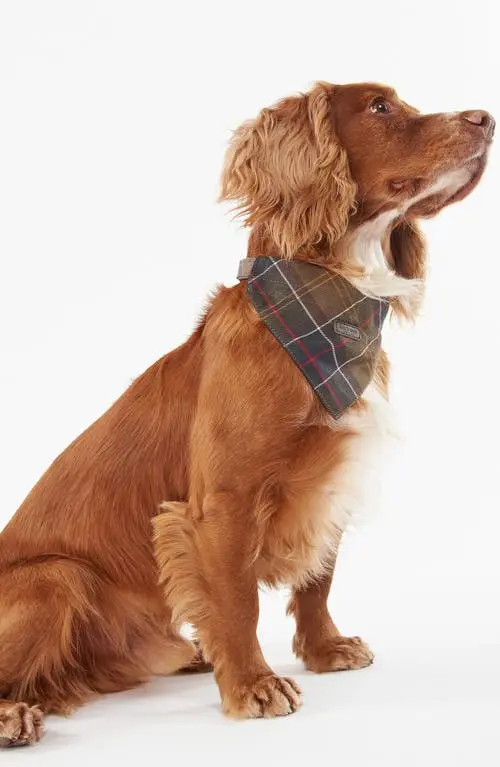 Barbour Tartan Dog Bandana