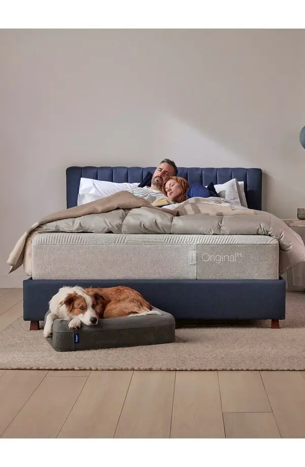 CASPER Dog Bed - Grey
