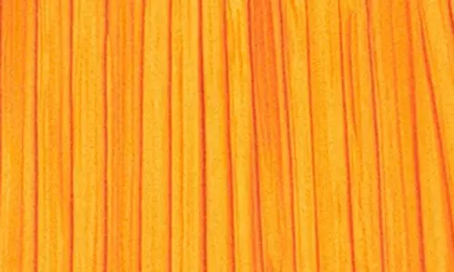 Endless Rose Sleeveless Maxi Dress - Orange