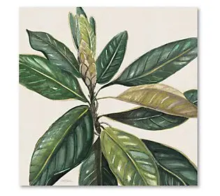 COURTSIDE MARKET Magnolia Leaves Ii 16x16 Canva S Wall Art - One-color