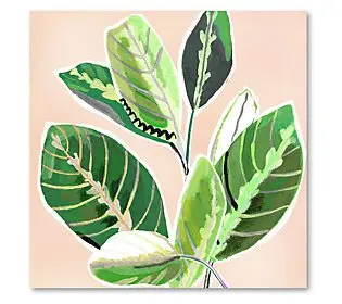 COURTSIDE MARKET Abstract Zebra Leaves 16x16 Ca Nvas Wall Art - One-color