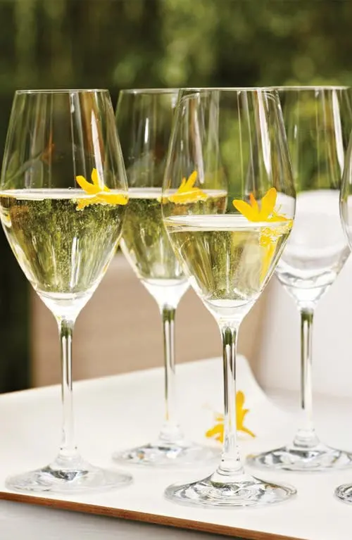 ZWILLING Prédicat Set Of 6 Champagne Glasses