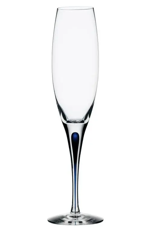 ORREFORS Intermezzo Champagne Flute - Clear/ Blue