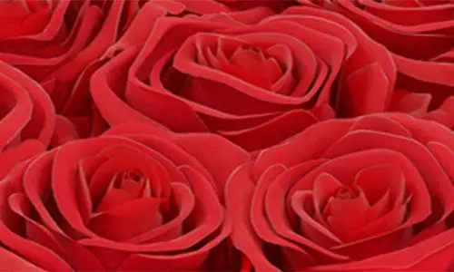 Venus Et Fleur Classic Small Round Eternity Roses