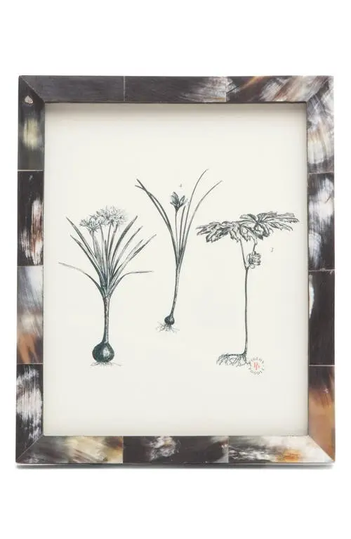 PIGEON AND POODLE Essen 8x10 Frame - Dark