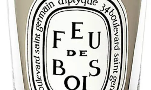 DIPTYQUE Feu De Bois Scented Candle - Clear Vessel