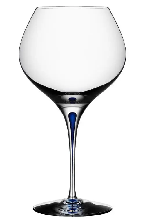 ORREFORS Intermezzo' Bouquet Glass - Clear/blue