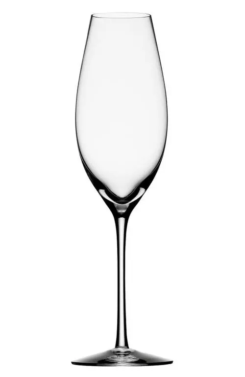ORREFORS Difference' Sparkling Champagne Glass - Clear