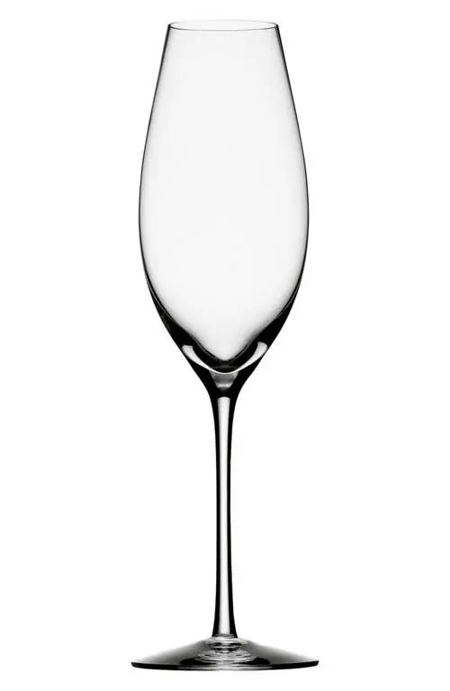 ORREFORS Difference' Sparkling Champagne Glass
