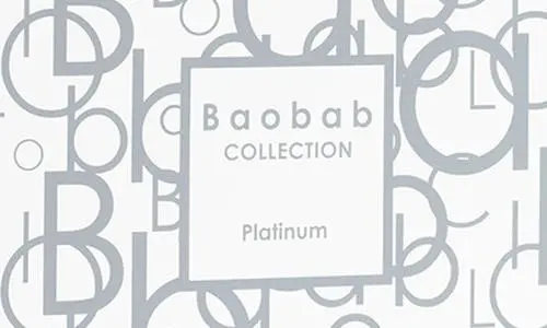 BAOBAB COLLECTION My First Baobab Platinum Candle & Diffuser Set - Silver