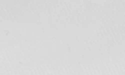 ZWILLING Pro Le Blanc 8-inch Chef's Knife - Silver
