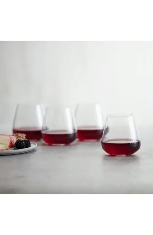 ZWIESEL GLAS Schott Zwiesel Vervino Set Of 6 Double Old Fashioned Glasses