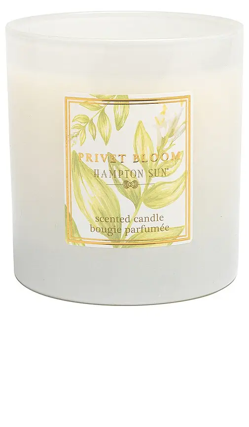 HAMPTON SUN Privet Bloom Candle - N,a