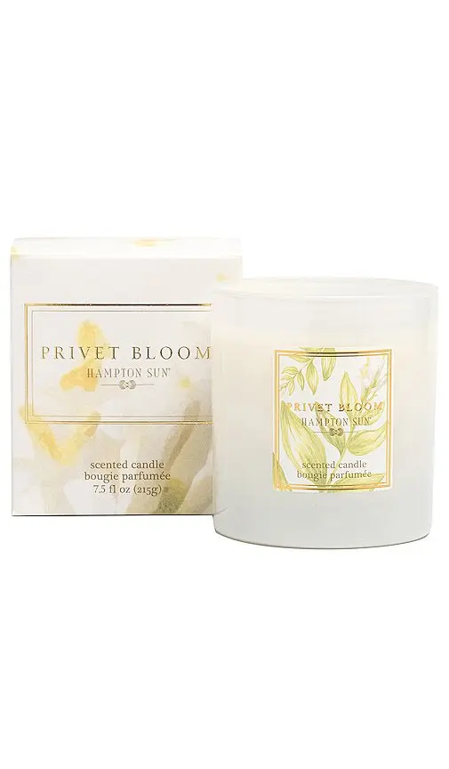 HAMPTON SUN Privet Bloom Candle