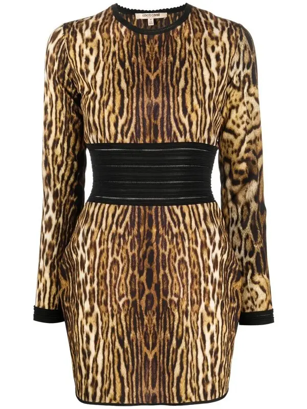Roberto Cavalli Leopard-print Fitted Minidress