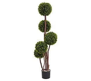 NEARLY NATURAL 4' Boxwood Five Ball Topiary Uv Esistant I/o - One-color