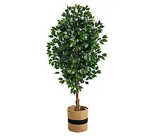NEARLY NATURAL 6' Ficus W/ Natural Trunk In Pla Nter - One-color