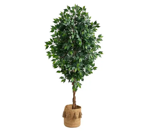 NEARLY NATURAL 6' Ficus W/ Natural Trunk In Jut E Planter - One-color