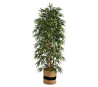 NEARLY NATURAL 6' Bamboo Tree In Natural Cotton Planter Nea Rly Natural - One-color