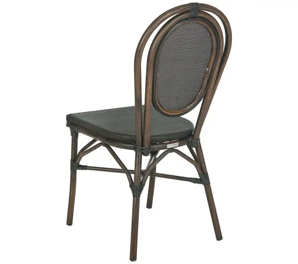 SAFAVIEH Ebsen Side Chairs