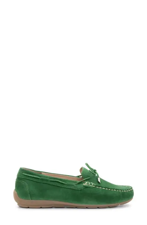 ARA Amarillo Leather Driving Shoe - Grass