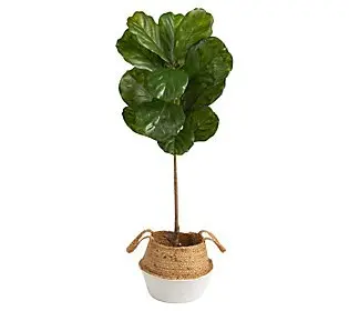 NEARLY NATURAL 4' Fiddle Leaf In Boho Chic Woven Planter Ne Arly Natural - One-color