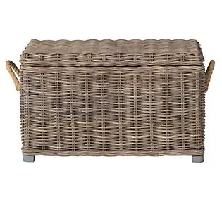 SAFAVIEH Salim Wicker Trunk