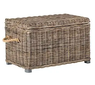SAFAVIEH Salim Wicker Trunk