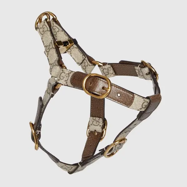 Gucci Small/medium Pet Harness