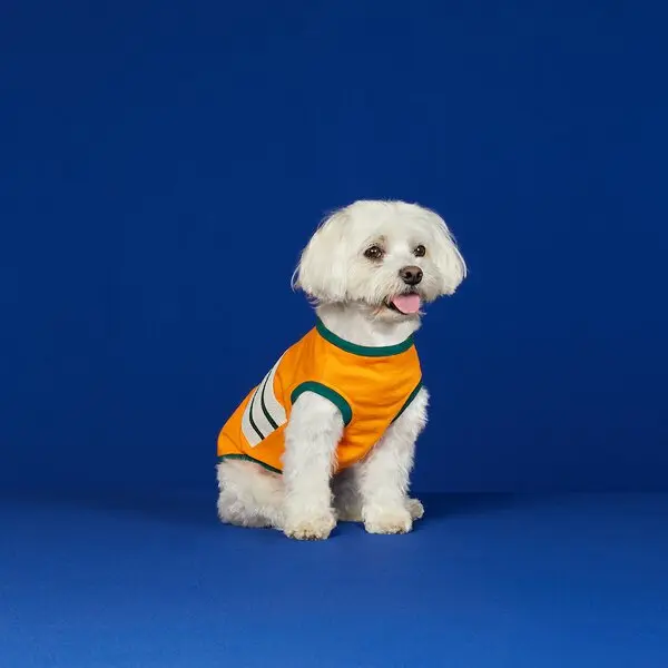 Gucci Pet Cotton T-Shirt With Interlocking G - Yellow | Editorialist