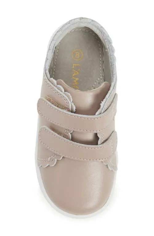 L'AMOUR Caroline Scallop Sneaker - Almond