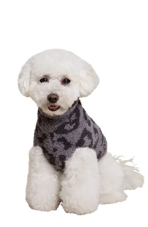 Barefoot Dreams Cozychic™ Leopard Dog Sweater - Graphite-carbon