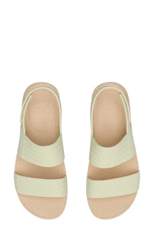 Reef Water Vista Slingback Sandal - Aloe