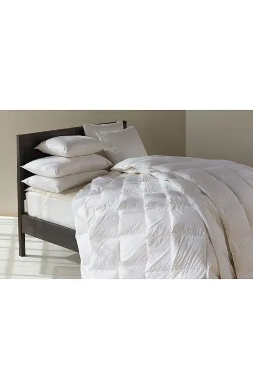 COYUCHI Feather & Down Pillow Insert