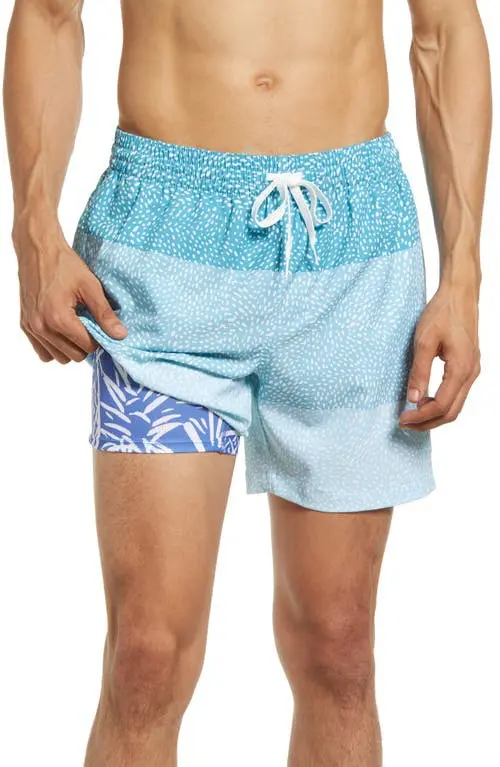 CHUBBIES 5.5-inch Swim Trunks - The Whale Sharks