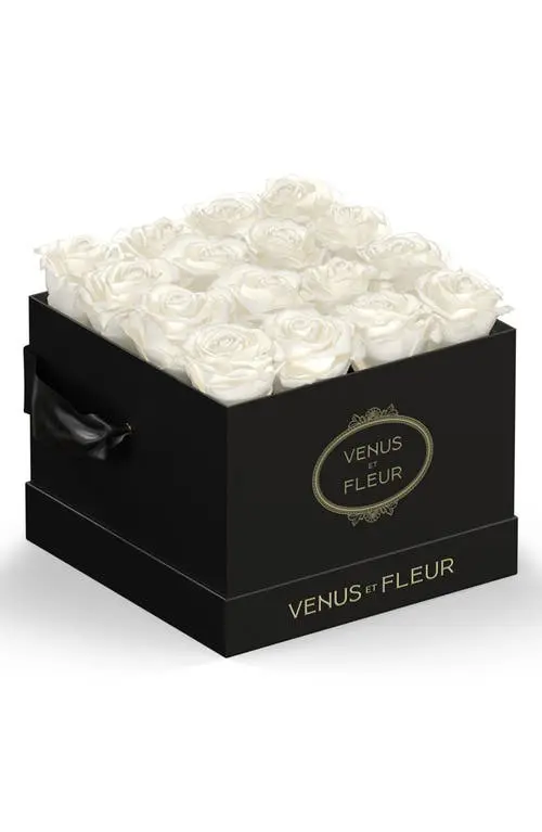 Venus Et Fleur Classic Small Square Eternity Roses - Pure White