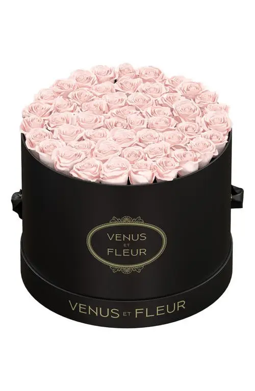 Venus Et Fleur Classic Large Eternity Roses - Blush