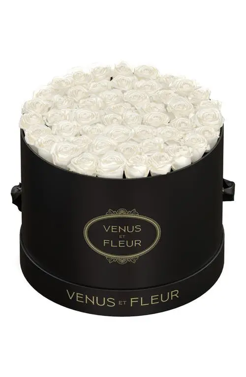 Venus Et Fleur Classic Large Eternity Roses - Pure White