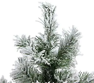 NORTHLIGHT Flocked Pine Christmas Tree In Burla P Base