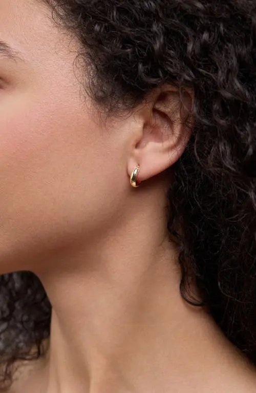 Bony Levy 14k Gold Hoop Earrings