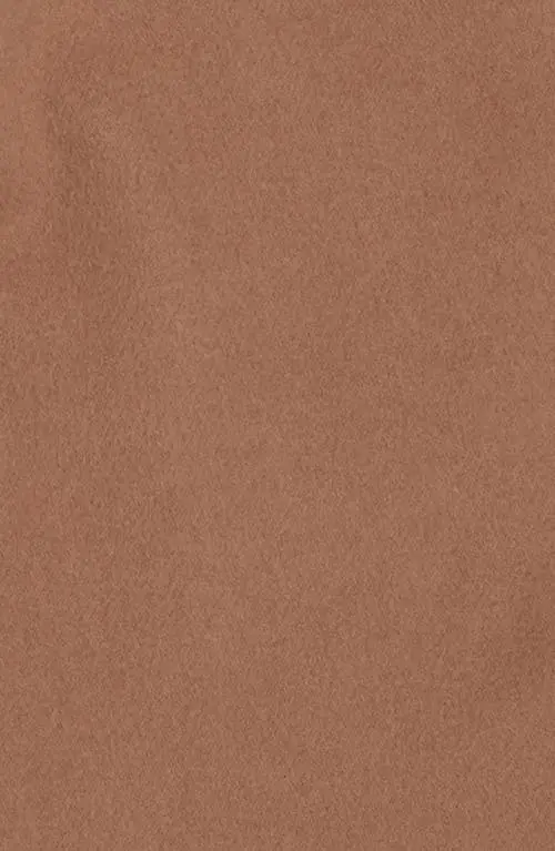 Acne Studios Fringe Wool Scarf - Caramel Brown