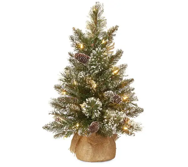 NATIONAL TREE COMPANY National Tree Co. 2' Glittery Pine Tree
