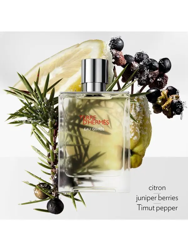 Hermès Terre D' Eau Givrée Eau De Parfum