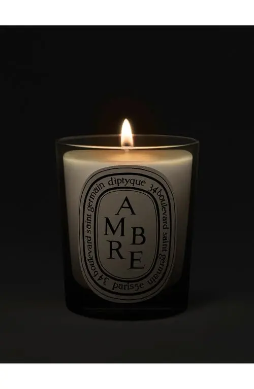 DIPTYQUE Ambre Scented Candle