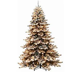 PULEO INTERNATIONAL 6.5' Royal Majestic Spruce Green Tree Flocked 5 00 Clear Light - One-color