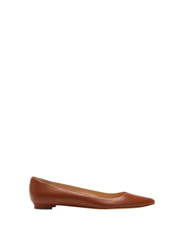 Manolo Blahnik Lanza Bb Ballerina Flats - Brown