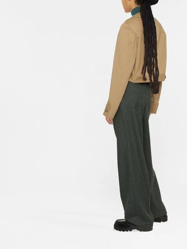 Alberta Ferretti Button-up Cropped Jacket